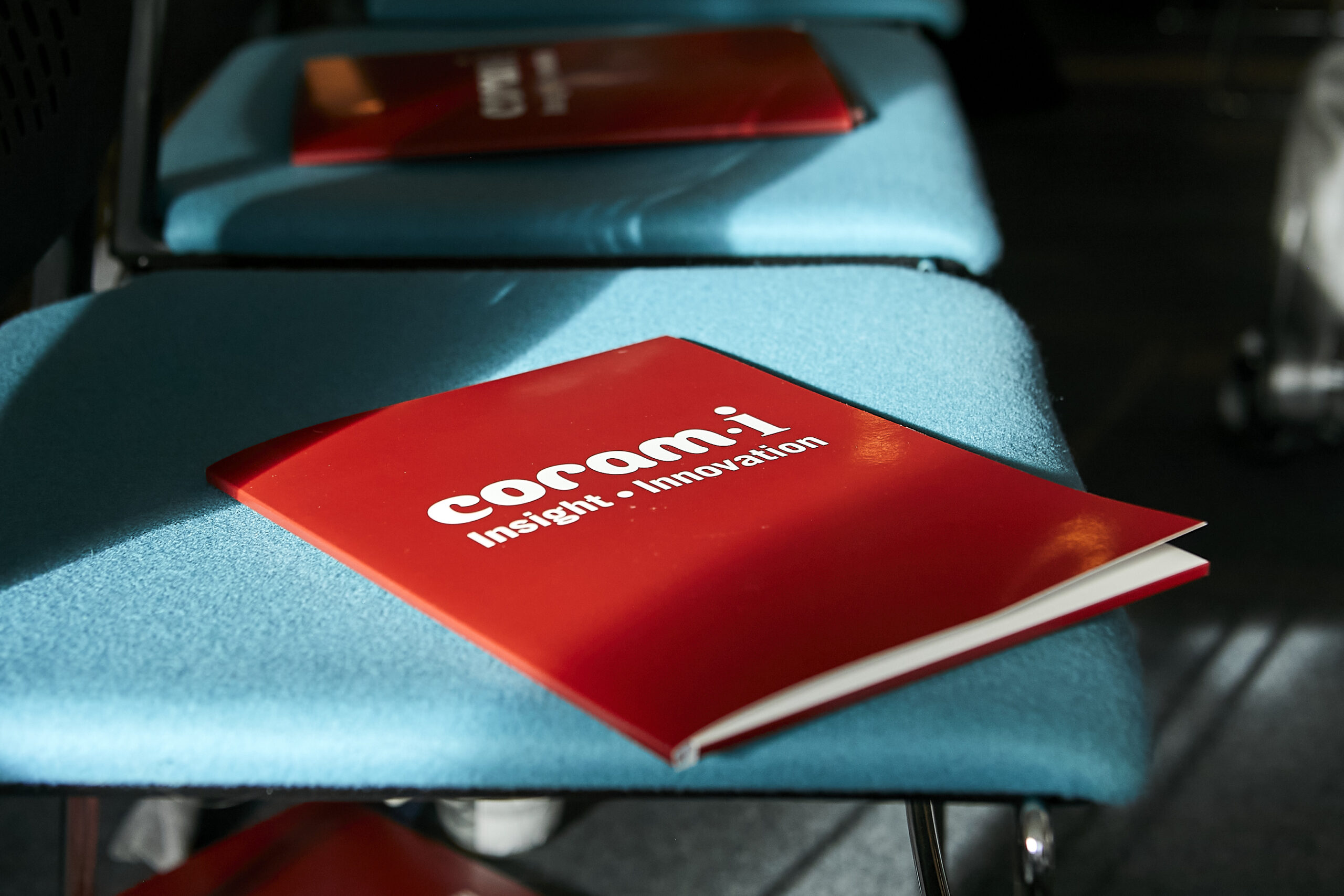 The Coram Innovation Collective: Cultural Competence, Diversity and ...